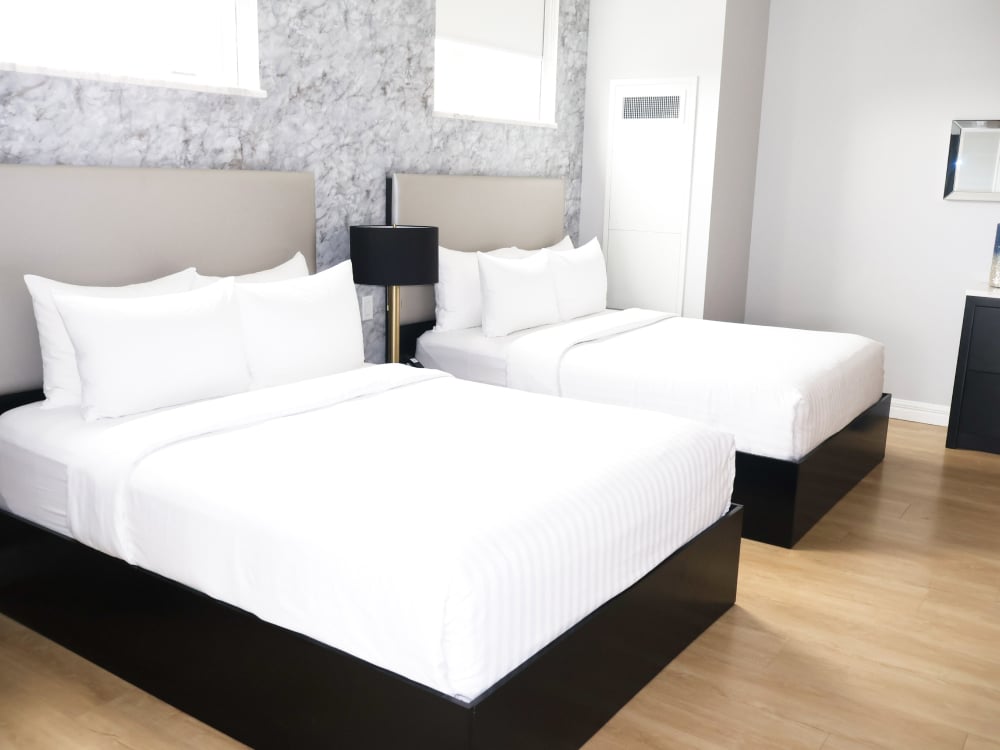 Refined Rooms at Halifax Tower Hotel